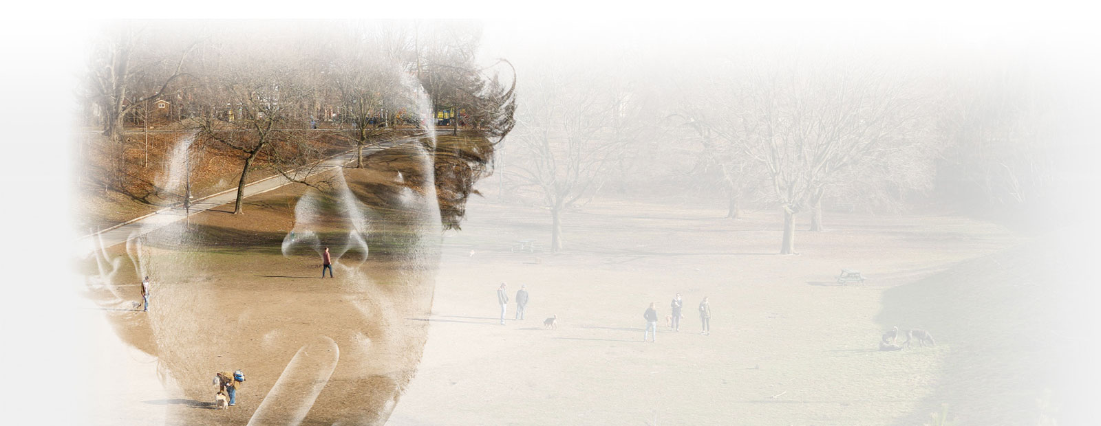 CCVT – Canadian Centre for Victims of Torture