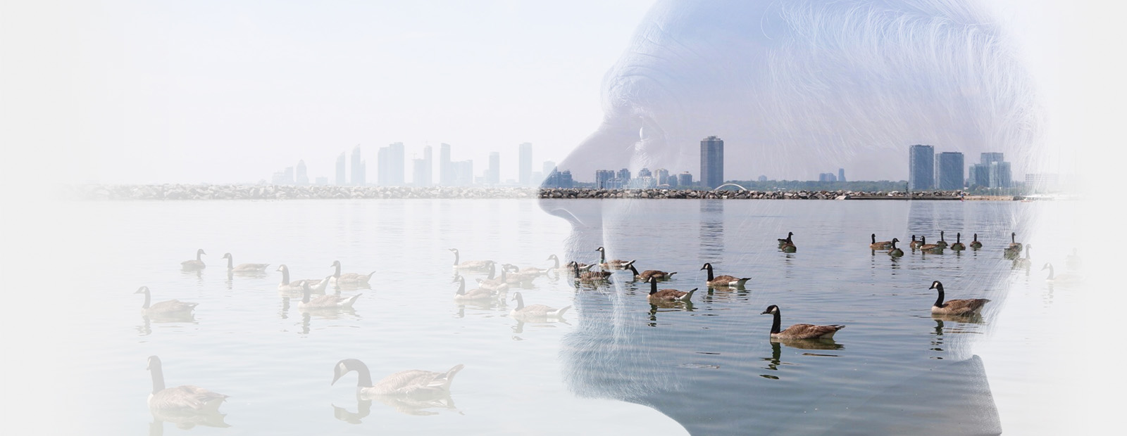 CCVT – Canadian Centre for Victims of Torture